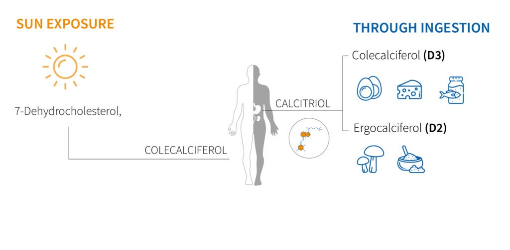 Vitamin D an essential immune player – Micro-immunotherapy