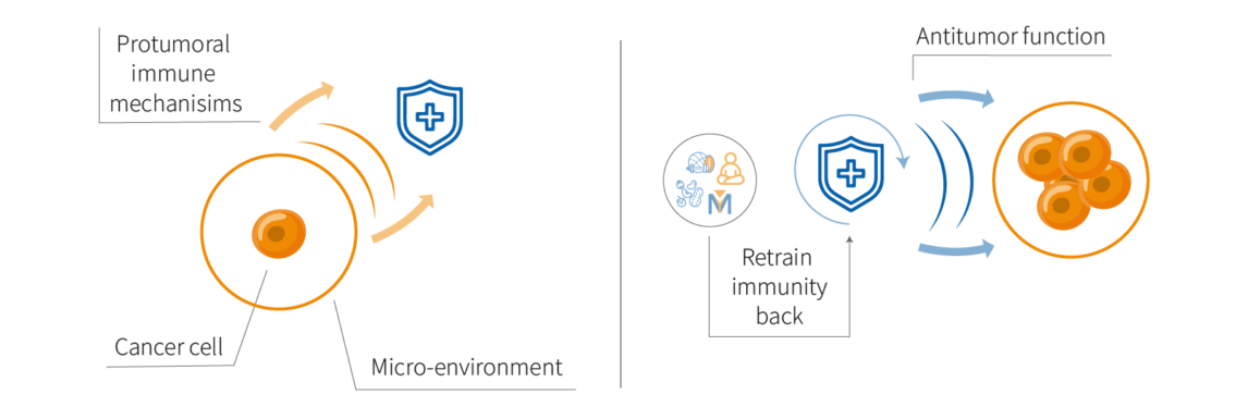 Your immune system against cancer – Micro-immunotherapy